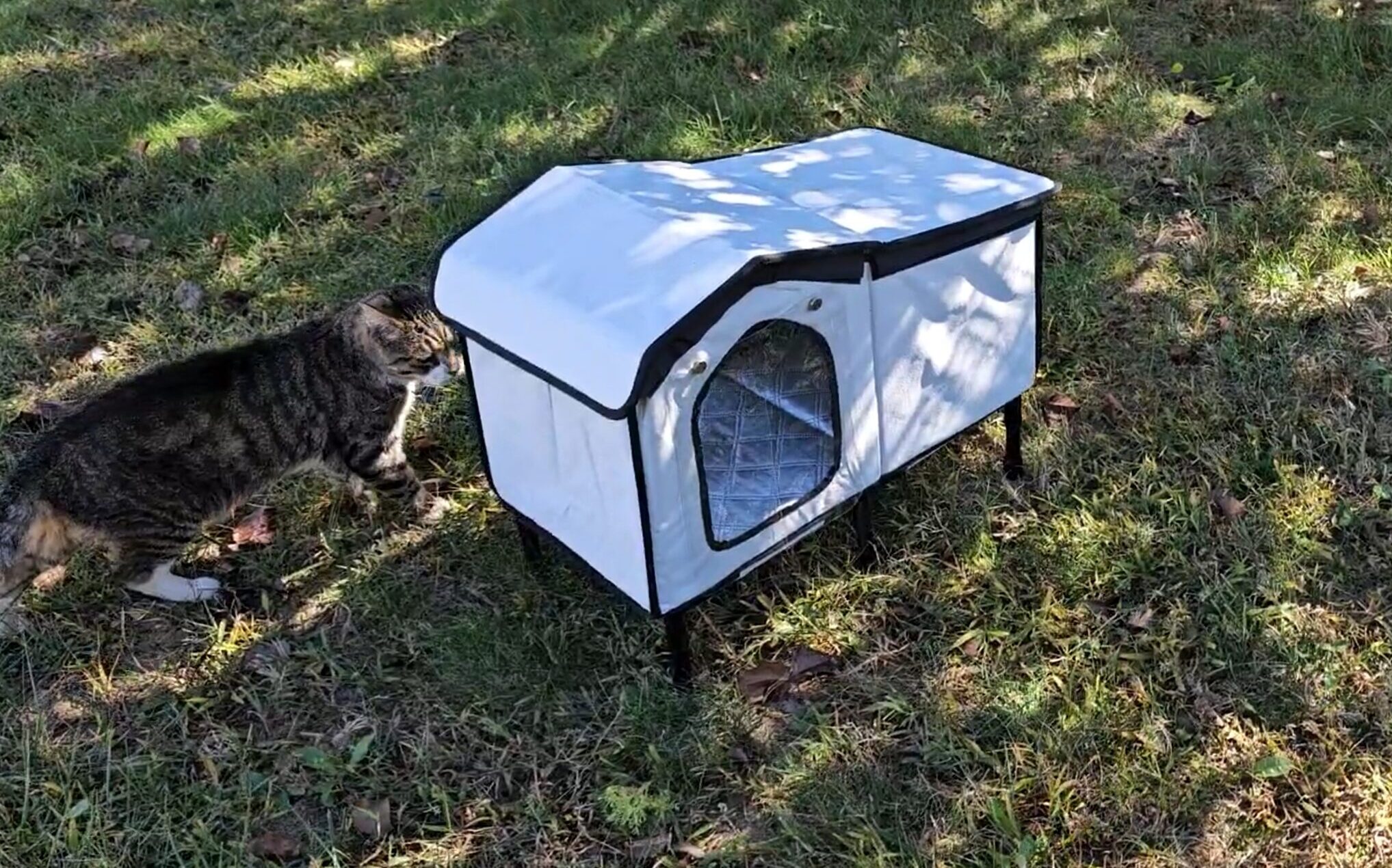 The Purrfect Solution: AKAOLA Heated Outdoor Cat House - Run Around Tech